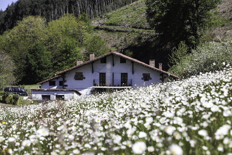 Caseríos con encanto - elcorreo.com