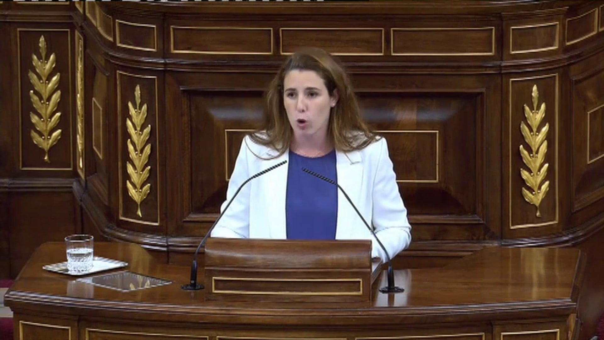 Una diputada de Vox declara que "las feministas no son mujeres" | El Correo