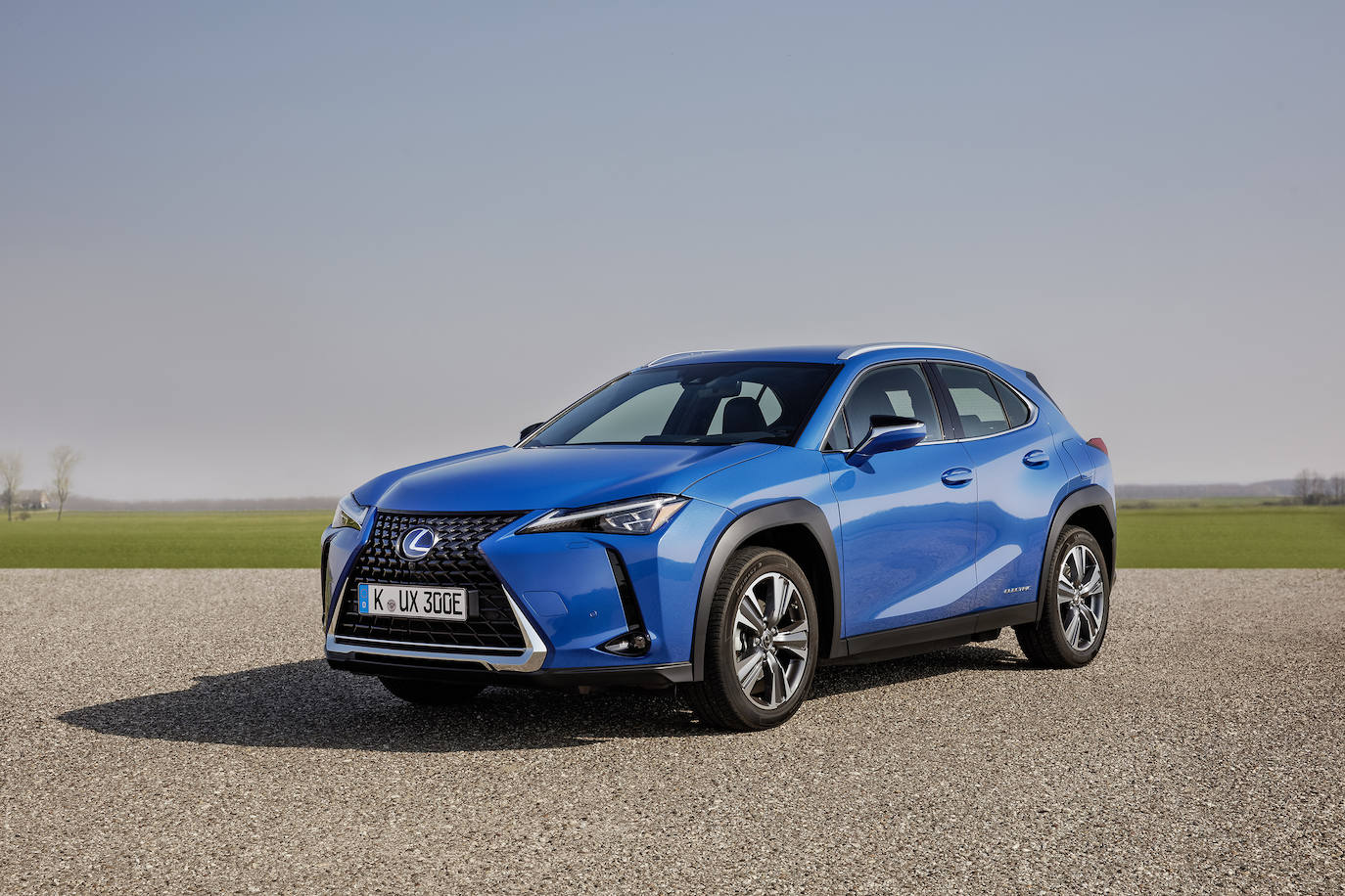 Fotos: Fotogalería: Lexus UX 300e | El Correo