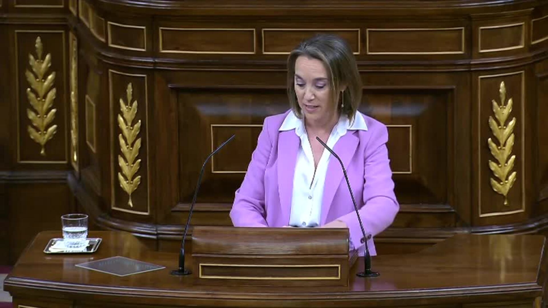 El PP no vota a favor de la moción "por respeto a los españoles" y no ...